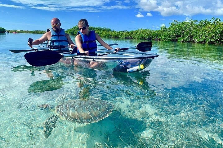 Clear Bottom Kayak Tour 2023 in Bahamas | Tour & Travel