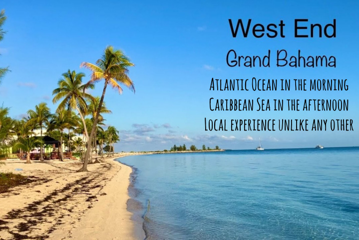 THE TOP BEST Bahamas Tours & Excursions in 2023